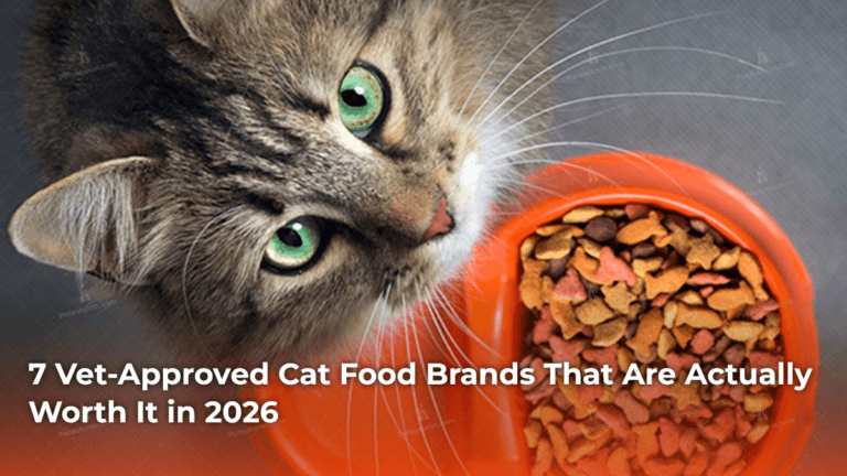 7 Vet-Approved Cat Foods Actually Worth It in 2026